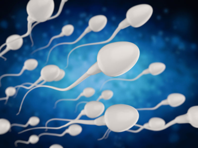 Understanding Micro-TESE | Microscopic Testicular Sperm Extraction ...