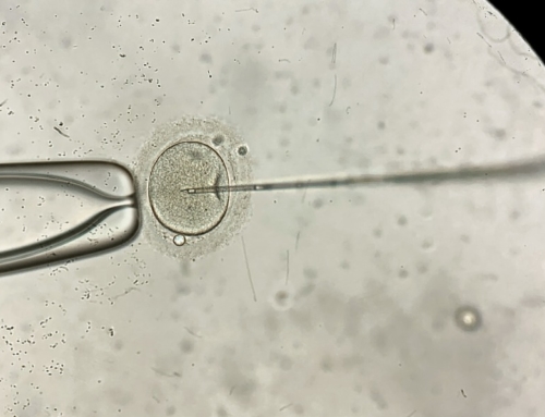 What Is Frozen Embryo Preimplantation Genetic Testing? - ReUnite Rx