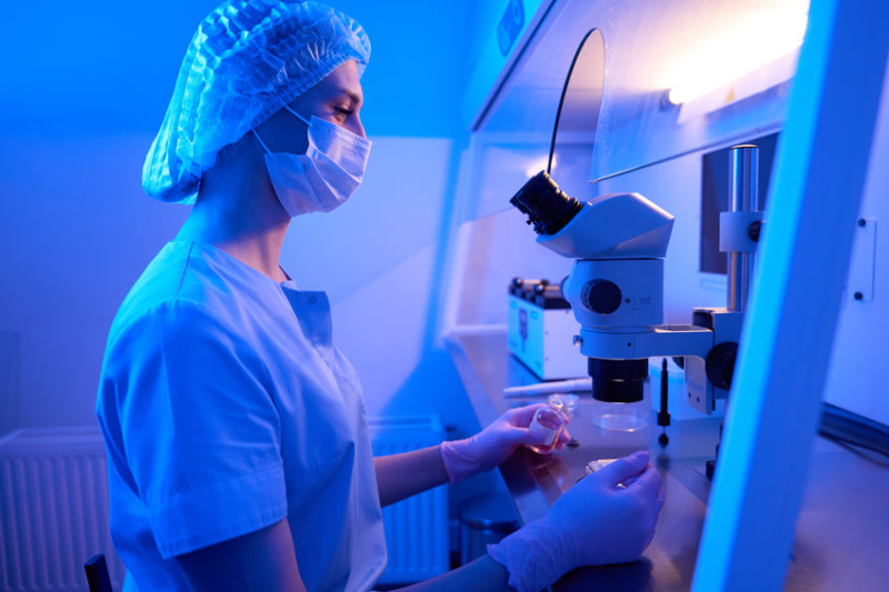 Behind The Scenes: 3 Ways Your Embryologist Helps With A Successful IVF ...